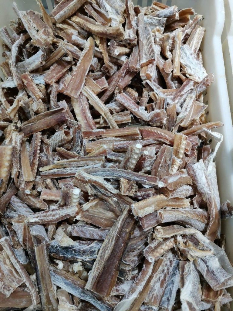 Los tollos canarios, qué son y algunas recetas | Marca Canaria