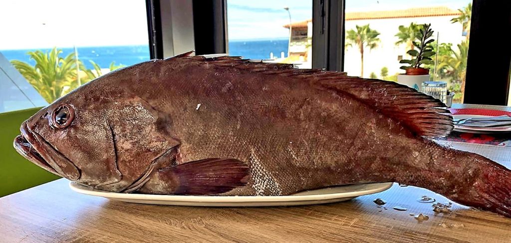 Cherne, an emblematic fish of the Canary Islands | Marca Canaria