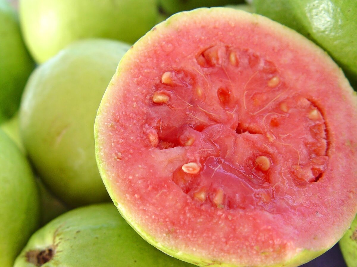 La guayaba, del trópico a Canarias – Marca Canaria